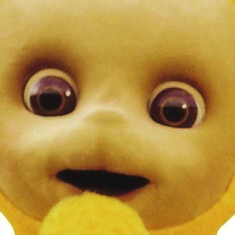 Confessions of a Teletubby (Nikky Smedley)